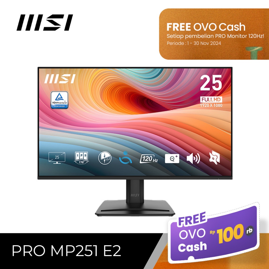 Jual MSI Monitor LED IPS PRO MP251 E2 - Full HD 25"Inc | Shopee Indonesia