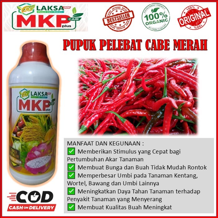 Jual pupuk pelebat cabe anti rontok - MKP Cair Plus LAKSA GROW membantu meningkatkan hasil panen ...