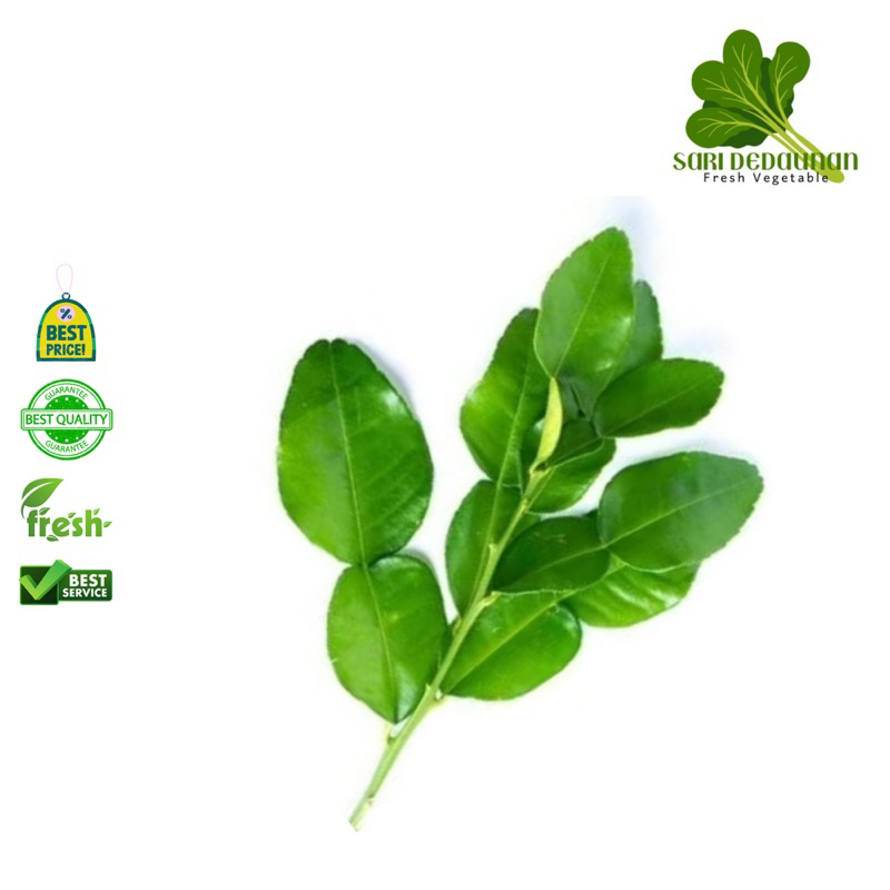 Jual DAUN JERUK | Shopee Indonesia