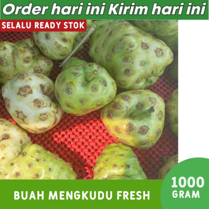 Jual BUAH MENGKUDU 1KG | Shopee Indonesia