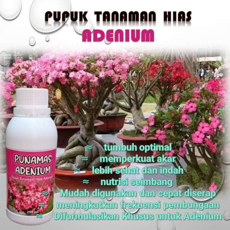 Jual PUPUK ADENIUM / PUPUK BUNGA / nutisis bunga / vitamin bunga ...