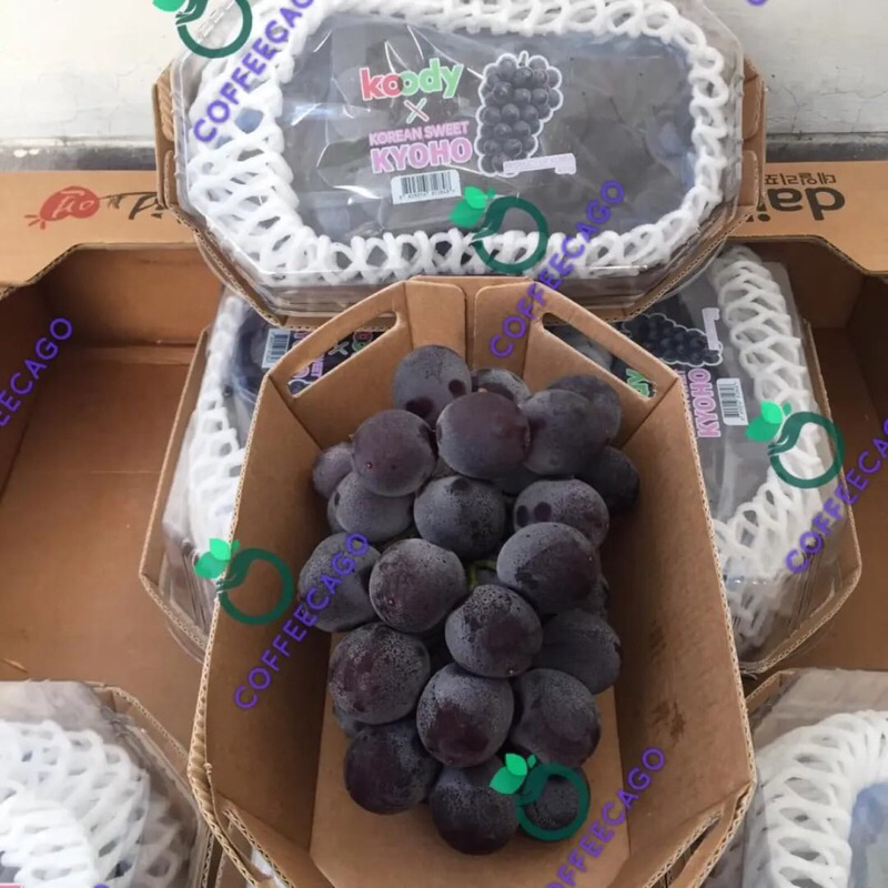Jual Anggur Kyoho Korea 1 Dus (9 Pack) Fresh Import | Shopee Indonesia