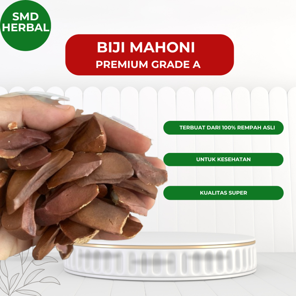 Jual Biji Mahoni Kering | Mahoni Premium | Shopee Indonesia