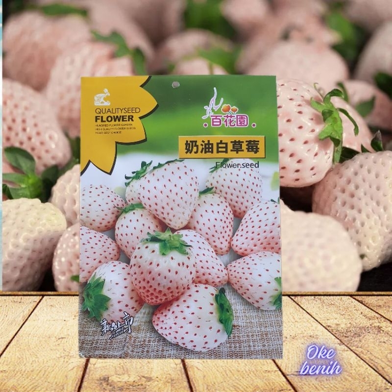 Jual KEMASAN ORIGINAL -+150 BUTIR BENIH STRAWBERRY PUTIH IMPORT ...