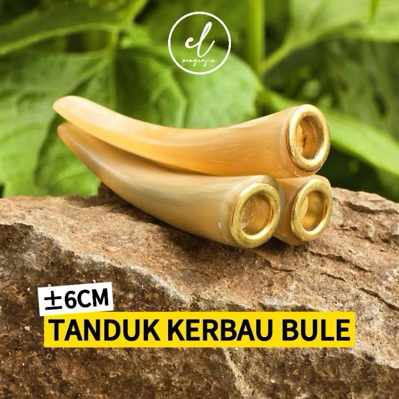 Jual COD PIPA ONCE ORIGINAL TANDUK KERBAU BULE 6cm | Shopee Indonesia