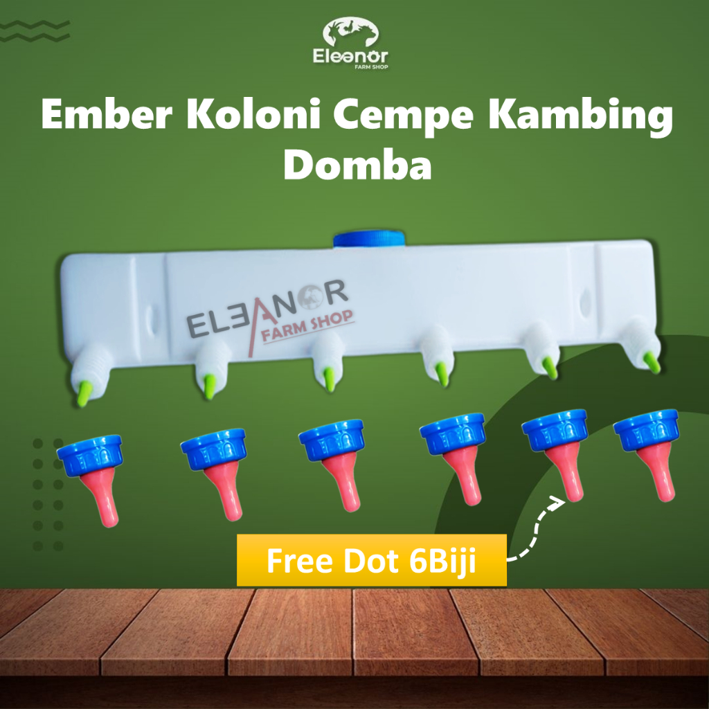Jual Ember Koloni Cempe Ember Dot Kambing Kambing Domba Bonus 6 Dot ...