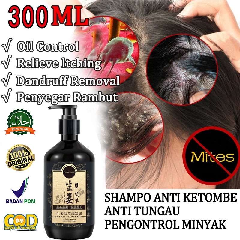 Jual Shampo Kutu Rambut Anak dan Dewasa 300ml shampoo kutu rambut shampoo anti ketombe obat kutu ...