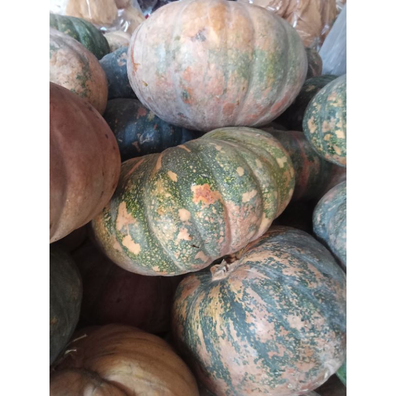 Jual Labu kuning | Labu parang per butir | pumpkins berat +- 2 kg ...