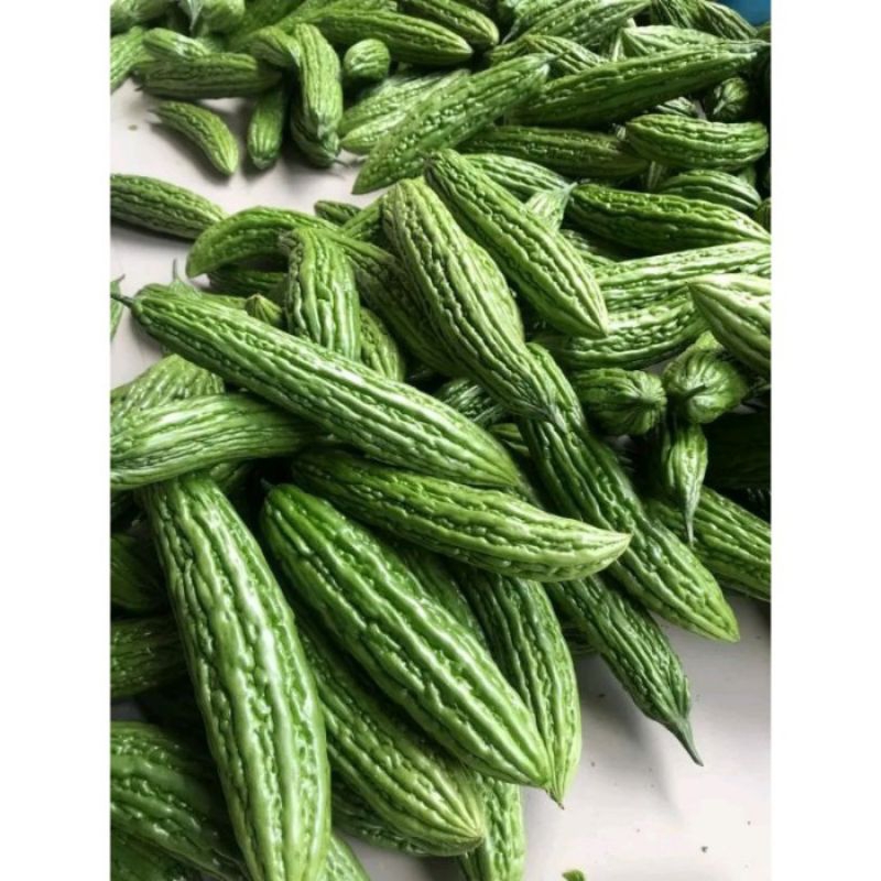 Jual BENIH MELON MADESTA F1 PER SACHET 400 BUTIR KADALUARSA 2025 ISI 9 ...