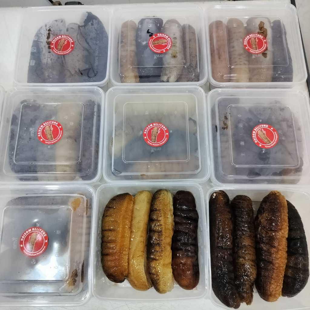 Jual HAISOM / TERIPANG GOSOK BELITUNG 1 KG DAN 500 GR | Shopee Indonesia