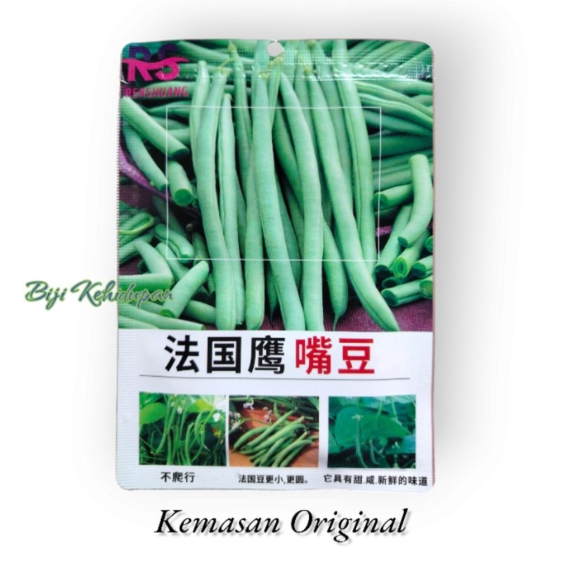 Jual BENIH BUNCIS BABYBEAN | BUNCIS TEGAK (KEMASAN ORIGINAL) | Shopee ...