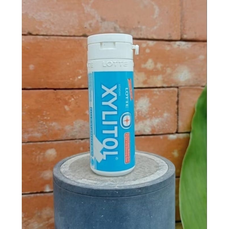 Jual Lotte Xylitol Permen Karet Fresh Mint 27,5 Gram | Shopee Indonesia