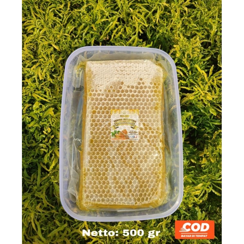 Jual Madu Sarang 500 gram Premium Madu Asli Sarang Madu Madu Murni ...
