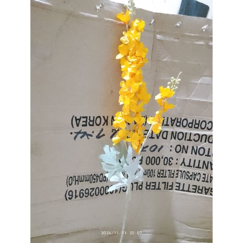 Jual bunga Snapdragon/ekor naga | Shopee Indonesia