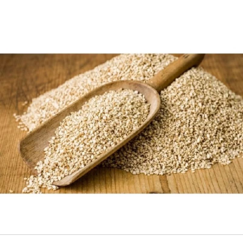 Jual WIJEN PUTIH / WIJEN KEMASAN 500 GRAM | Shopee Indonesia