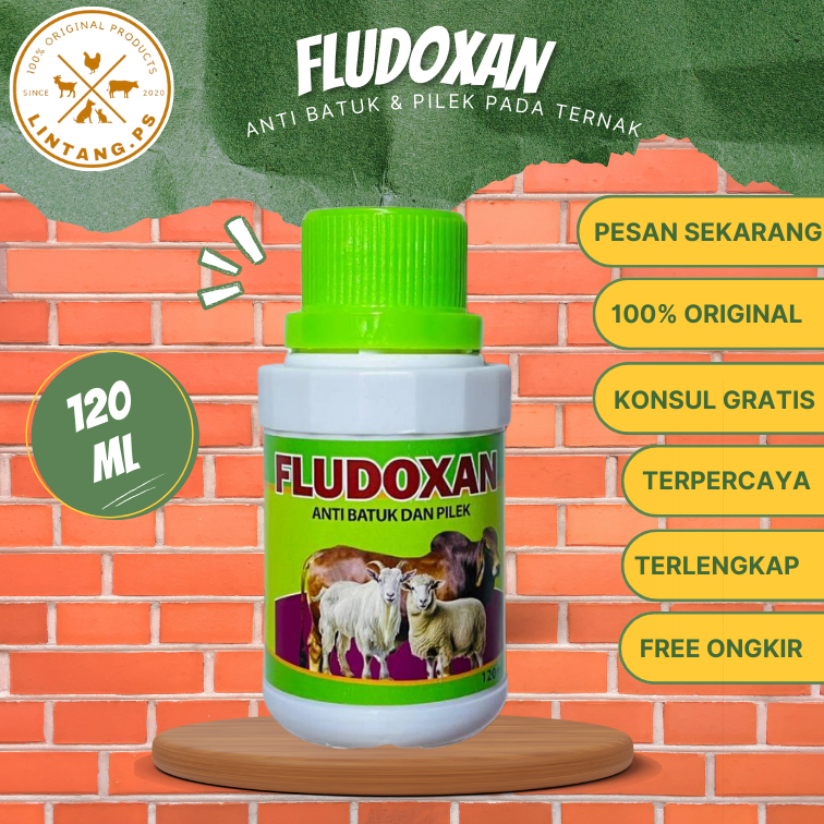 Jual Obat Batuk Kambing - Obat Batuk Sapi - Obat Batuk Domba - Fludoxan ...