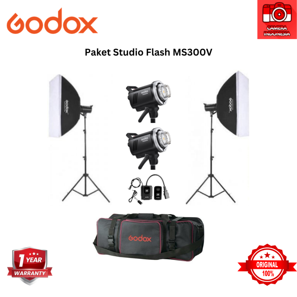 Jual Paket 2 Lampu Studio Flash Godox MS300V MS-300 V with LED ...