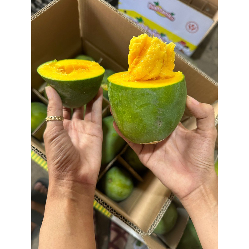 Jual 1BOX 3KG mangga alpukat harum manis isi 5-6pcs | Shopee Indonesia