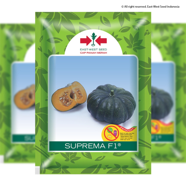 Jual Benih Labu - Suprema F1 SP & 10 gr | Shopee Indonesia