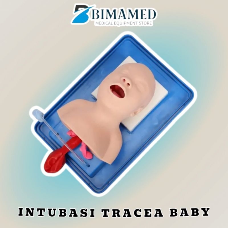 Jual PHANTOM MANIKIN INTUBATION TRACHEA NEONATAL / MANIKIN INTUBASI ...