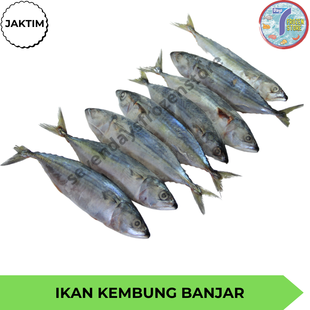 Jual Ikan Kembung Banjar Beku Frozen | Shopee Indonesia