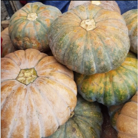 Jual 1 Kg Buah Labu Kuning Segar/ Labu Kuning Segar/ Waluh Kuning Besar ...