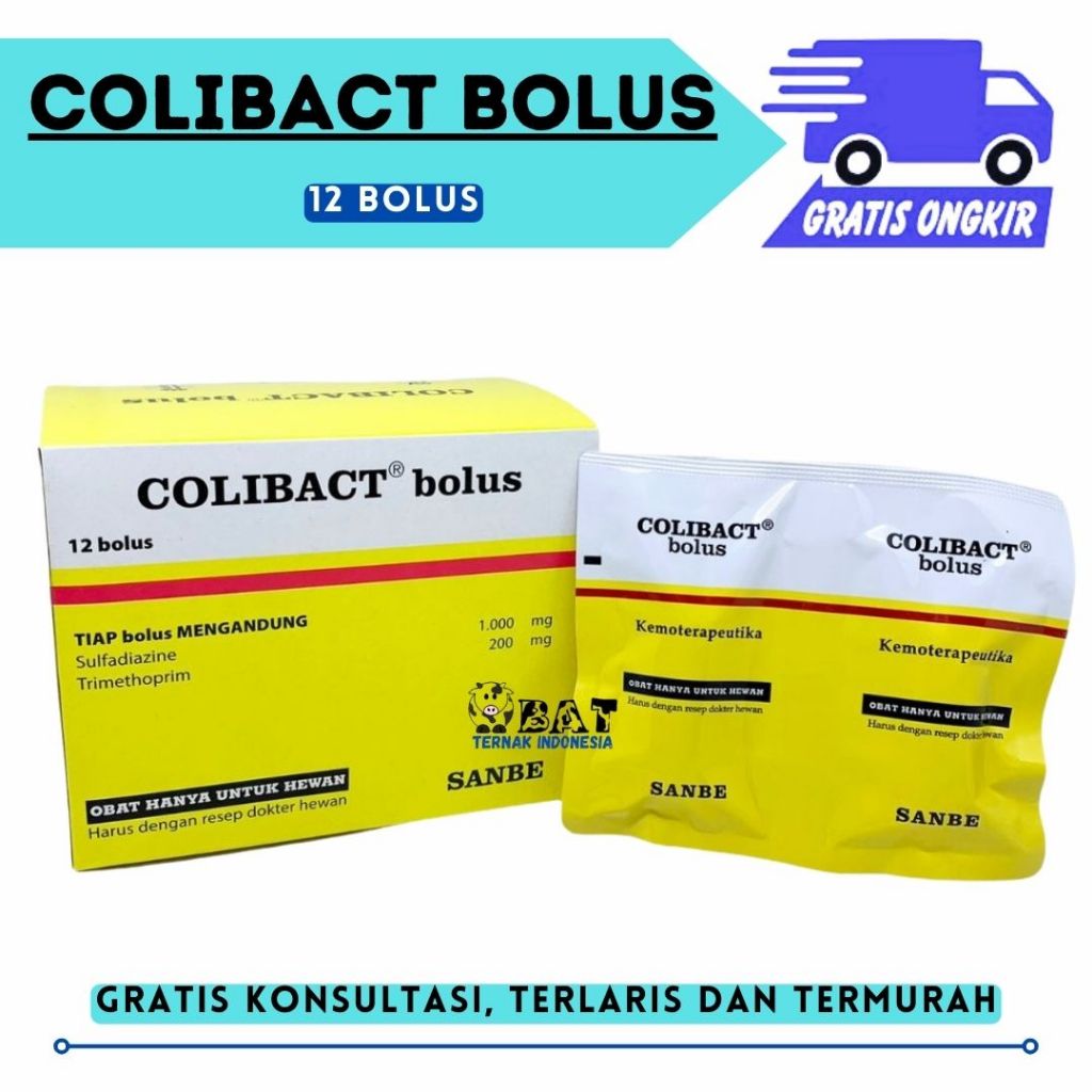 Jual Colibact 12 Bolus 1 Box (6 Strip @2 Bolus) Obat Sapi Kuda Domba ...