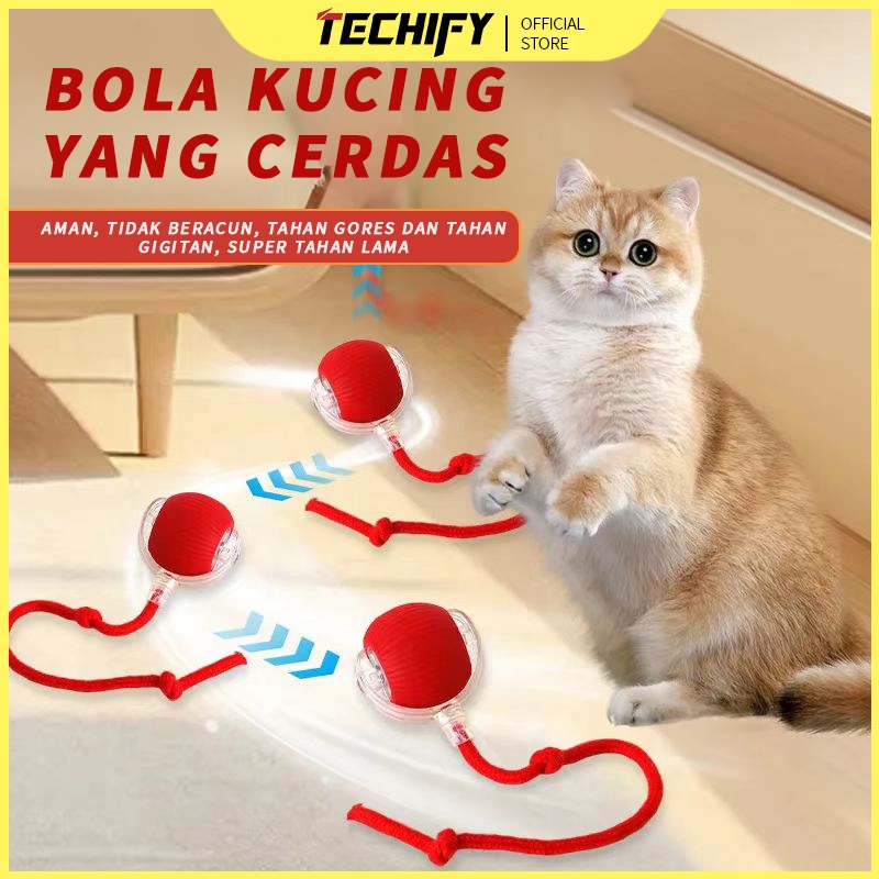 Jual Bola kucing otomatis, bola kucing pintar, anak kucing secara ...