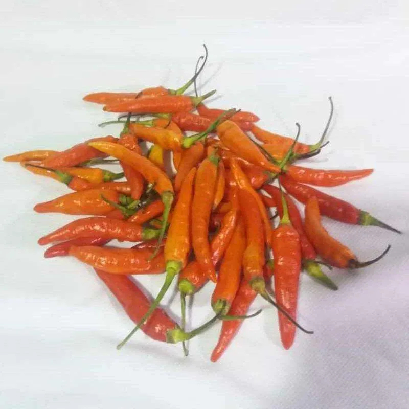 Jual CABE RAWIT MERAH 100gr | Shopee Indonesia