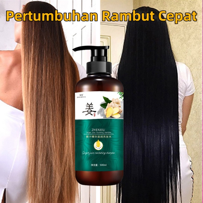 Jual sampo penumbuh rambut cepat Ginger sampo untuk rambut rontok 500ml shampoo anti ketombe dan ...