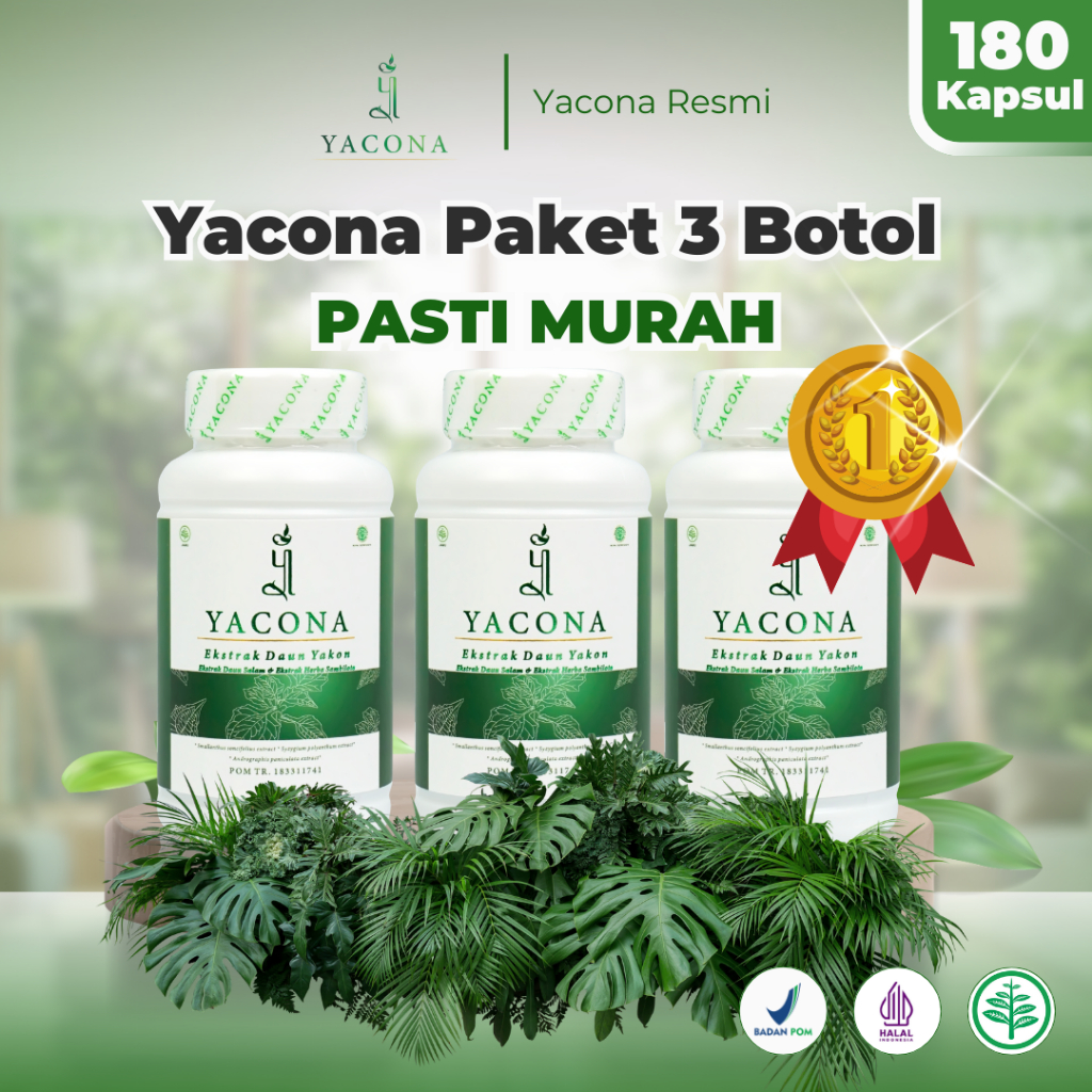 Jual Yacona 3 Botol Murah Promo Hemat Ekstrak Daun Yakon Herbal Asli ...
