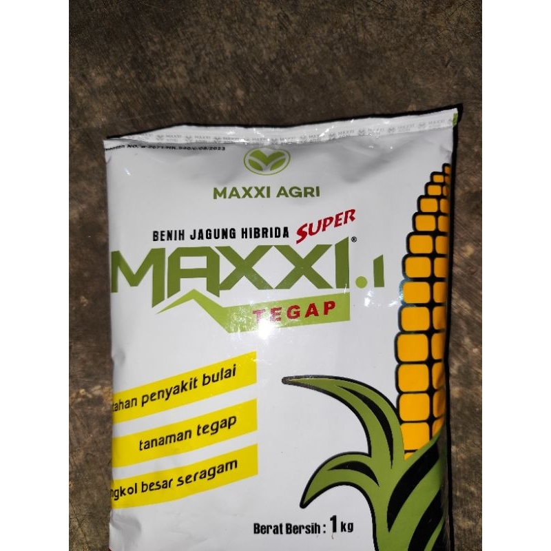 Jual Benih Jagung Hibrida MAXXI TEGAP 1 Kemasan 1 kilogram | Shopee ...