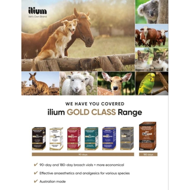 Jual Ketamil Ilium Injeksion 50ml Obat untuk Hewan Asli Original ...
