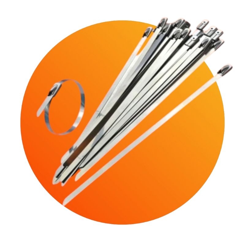 Jual Kabel Ties Besi Stainless Steel Cable Ties 30 cm Kabel Tis Besi 4 ...