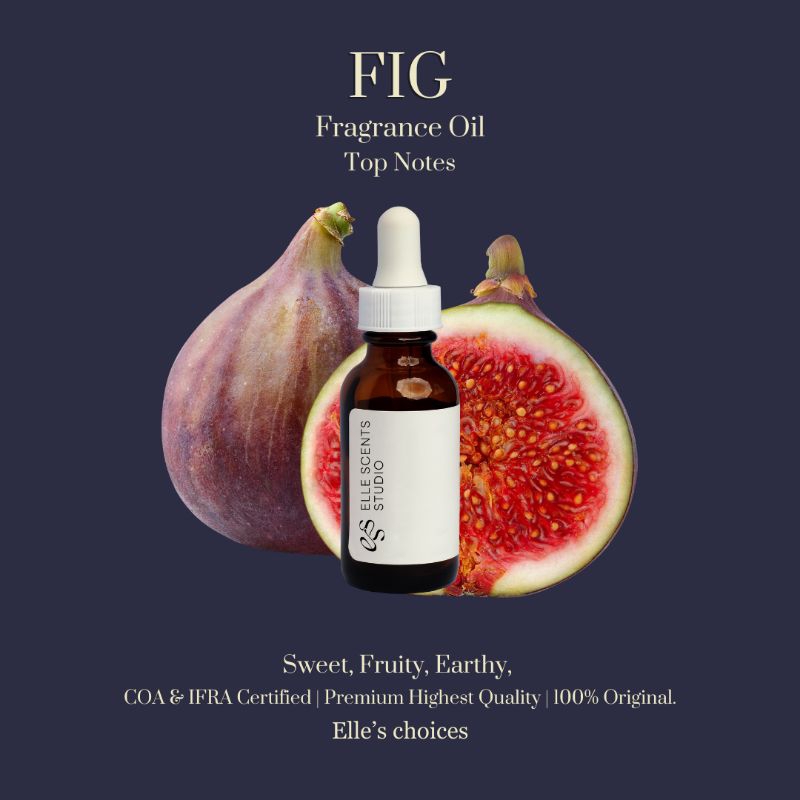 Jual FIG Fragrance Oil | Shopee Indonesia