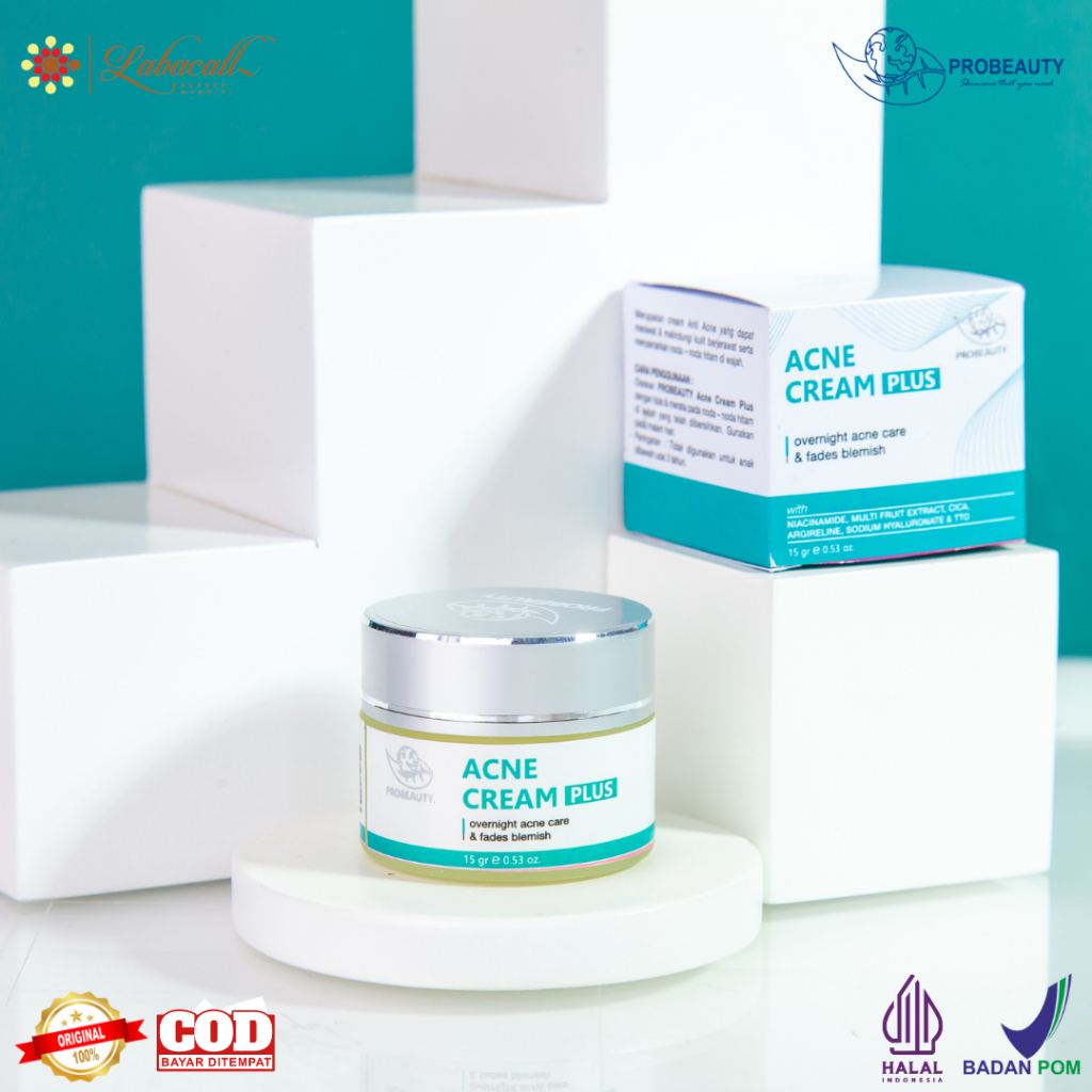 Jual PROBEAUTY ACNE CREAM PLUS / ACNE WHITENING / KRIM MALAM JERAWAT ...