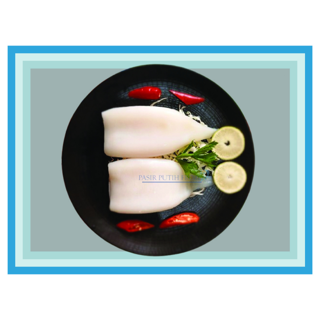 Jual Cumi Tube Frozen - 1kg | Shopee Indonesia