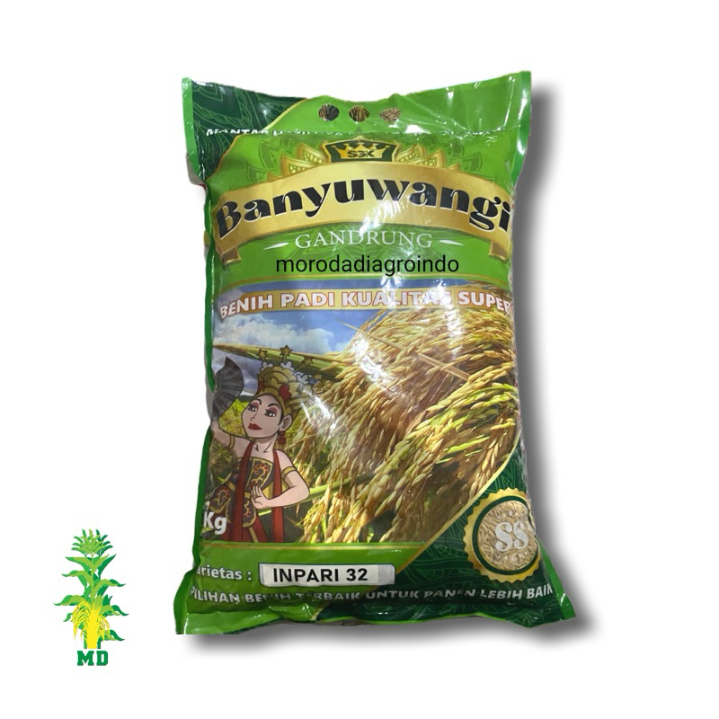 Jual Benih padi unggul INPARI 32 HDB BANYUWANGI kemasan 5kg, | Shopee Indonesia