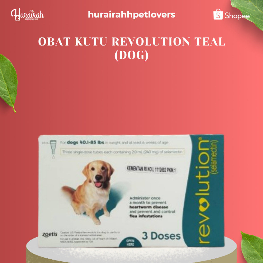 Jual OBAT KUTU REVOLUTION TEAL (DOG) | Shopee Indonesia
