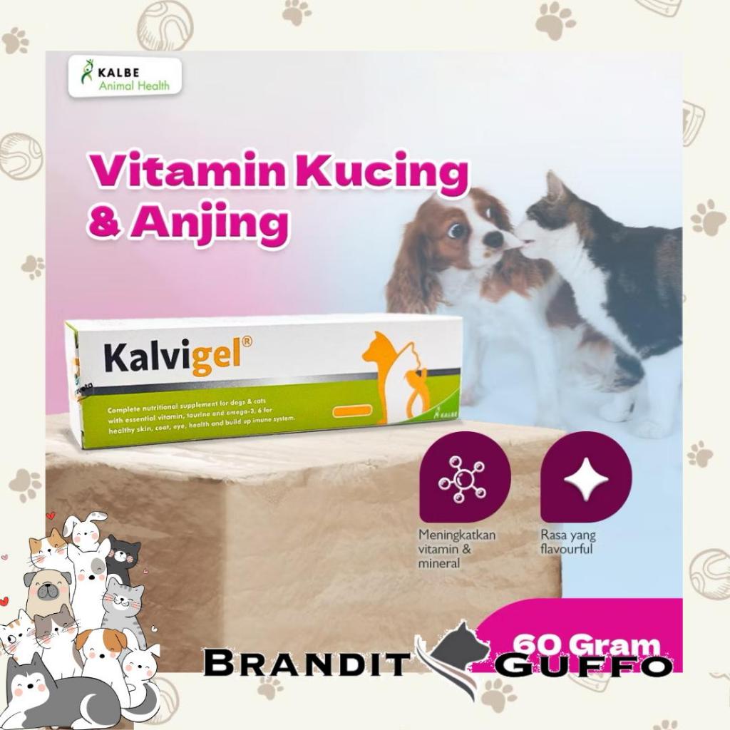 Jual Kalvigel vitamin anjing kucing multivitamin dan taurine anjing ...