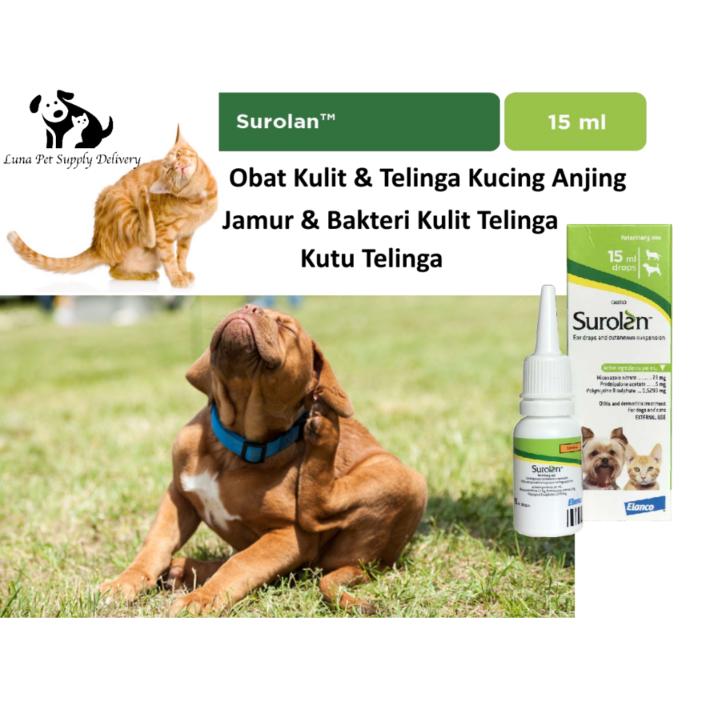 Jual Obat Tetes Telinga Surolan 15 mL ORI Ear Mites Kutu Telinga Anti ...
