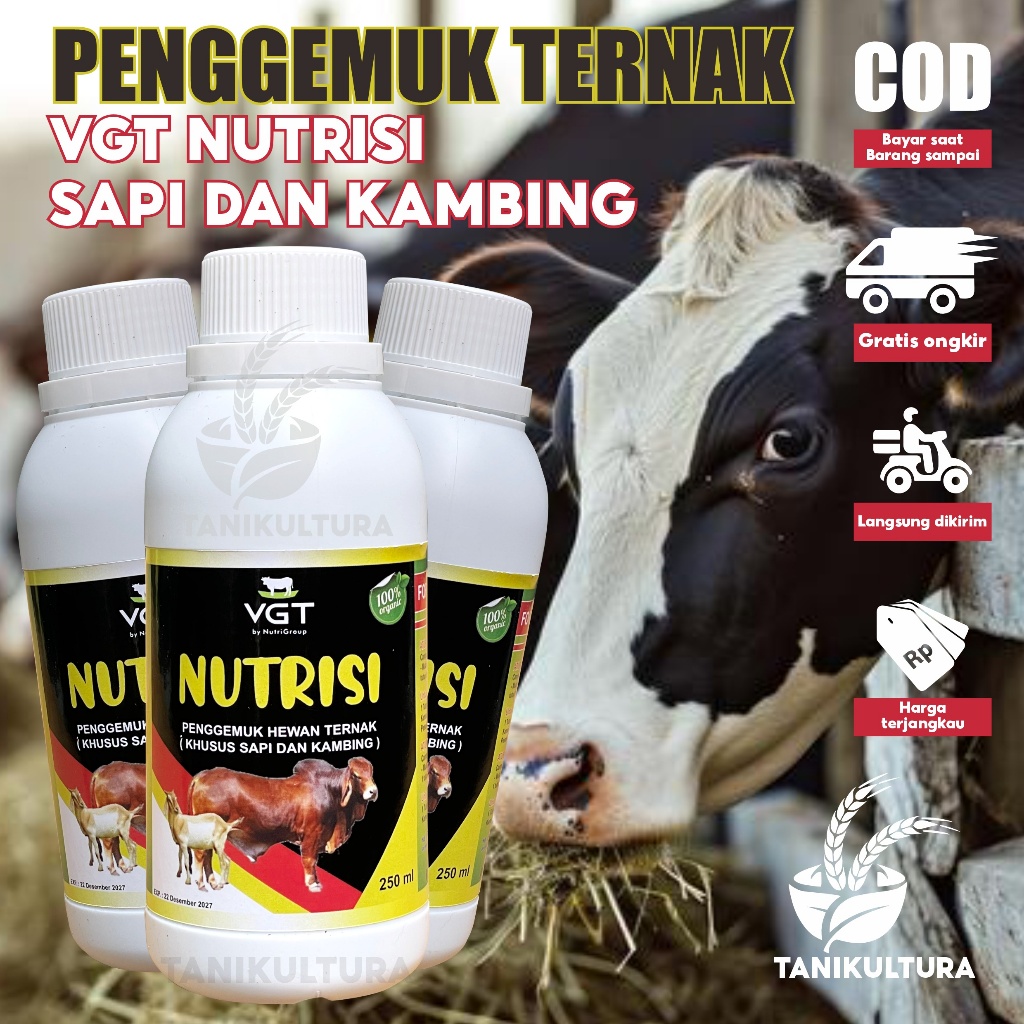 Jual VGT Nutrisi Sapi dan Kambing Penggemuk Hewan Ternak Vitamin Sapi ...