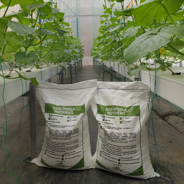 Jual Nutrisi AB Mix Hidroponik SAYURAN DAUN Agropedia Nutrient | Shopee ...