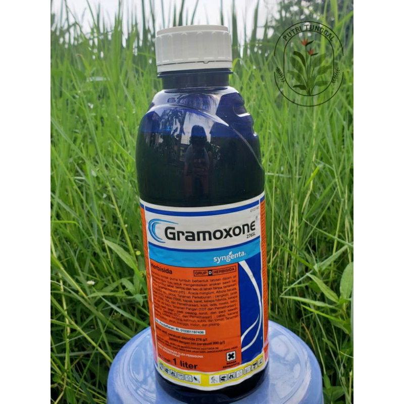 Jual Gramoxone. gramason Herbisida kontak ukuran 1L , 500ml, dan 250ml ...