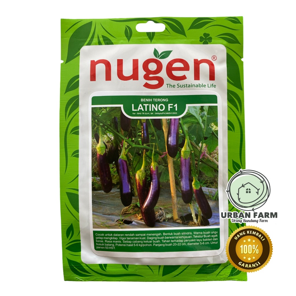 Jual Benih Terong Ungu Hibrida LATINO F1 10gram | Benih Terong Ungu ...