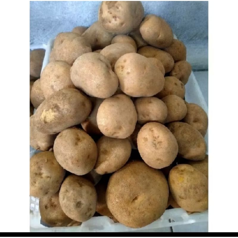 Jual Kentang Dieng Super 1 kg | Shopee Indonesia
