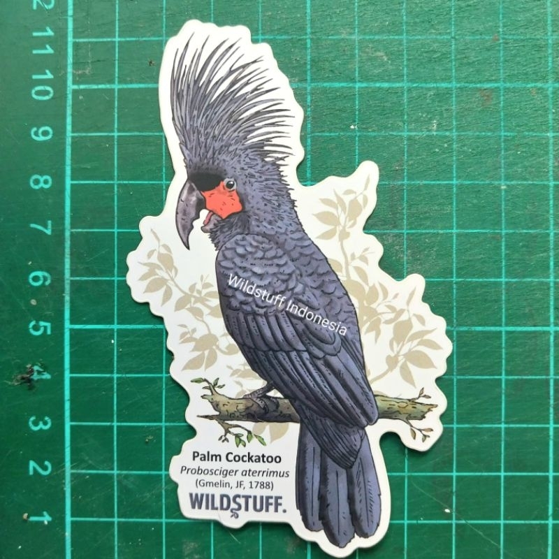 Jual Sticker Wildstuff Seri Burung 001 Black Palm Cockatoo | Shopee ...
