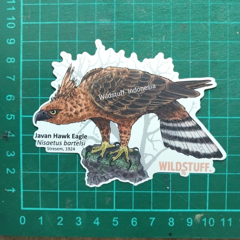 Jual Sticker Wildstuff Seri Burung 003 JHE Javan Hawk Eagle | Shopee ...