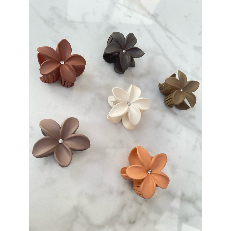 Jual JEPIT BUNGA KAMBOJA matt 5cm 010333 | Shopee Indonesia
