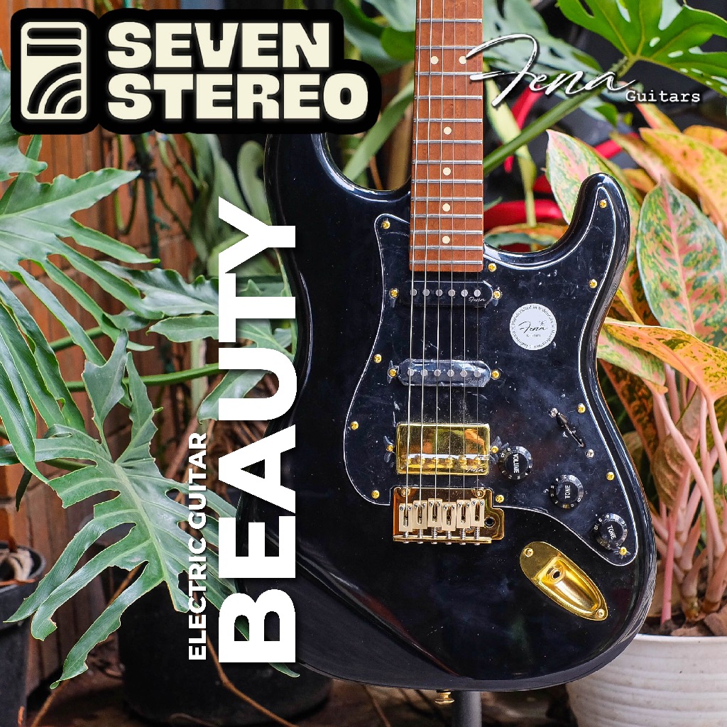 Jual Fena Stratocaster Standard Series Black Beauty With Gold Hardware ...